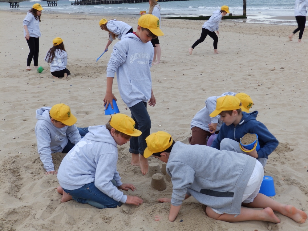 Sheredes Primary School » Themed Weeks